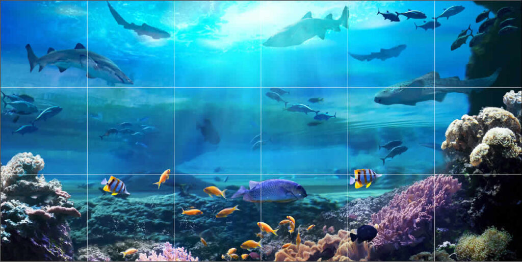 Dive 2 Tile Mural – Picture Tile Murals